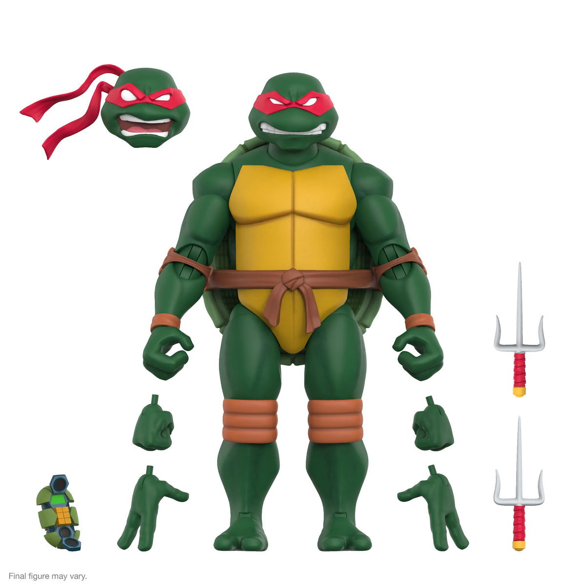 raphael turtle